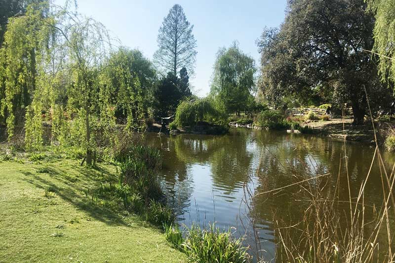 Summer In Regent's Park & Primrose Hill - Friends of Regent's Park ...